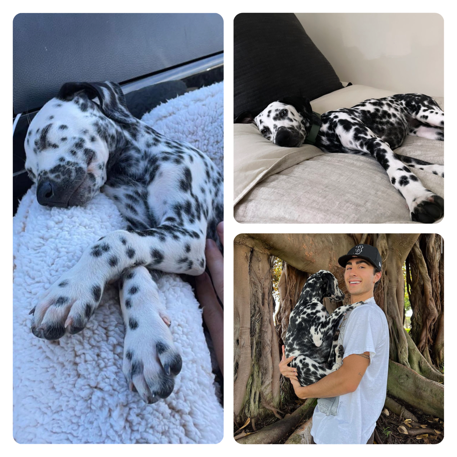 Sam Vicchiollo Story - UNIA magazine