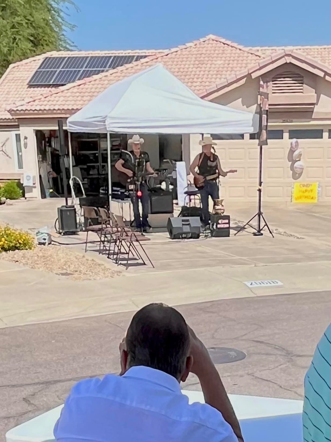 BRANDED COUNTRY / Lee Benson