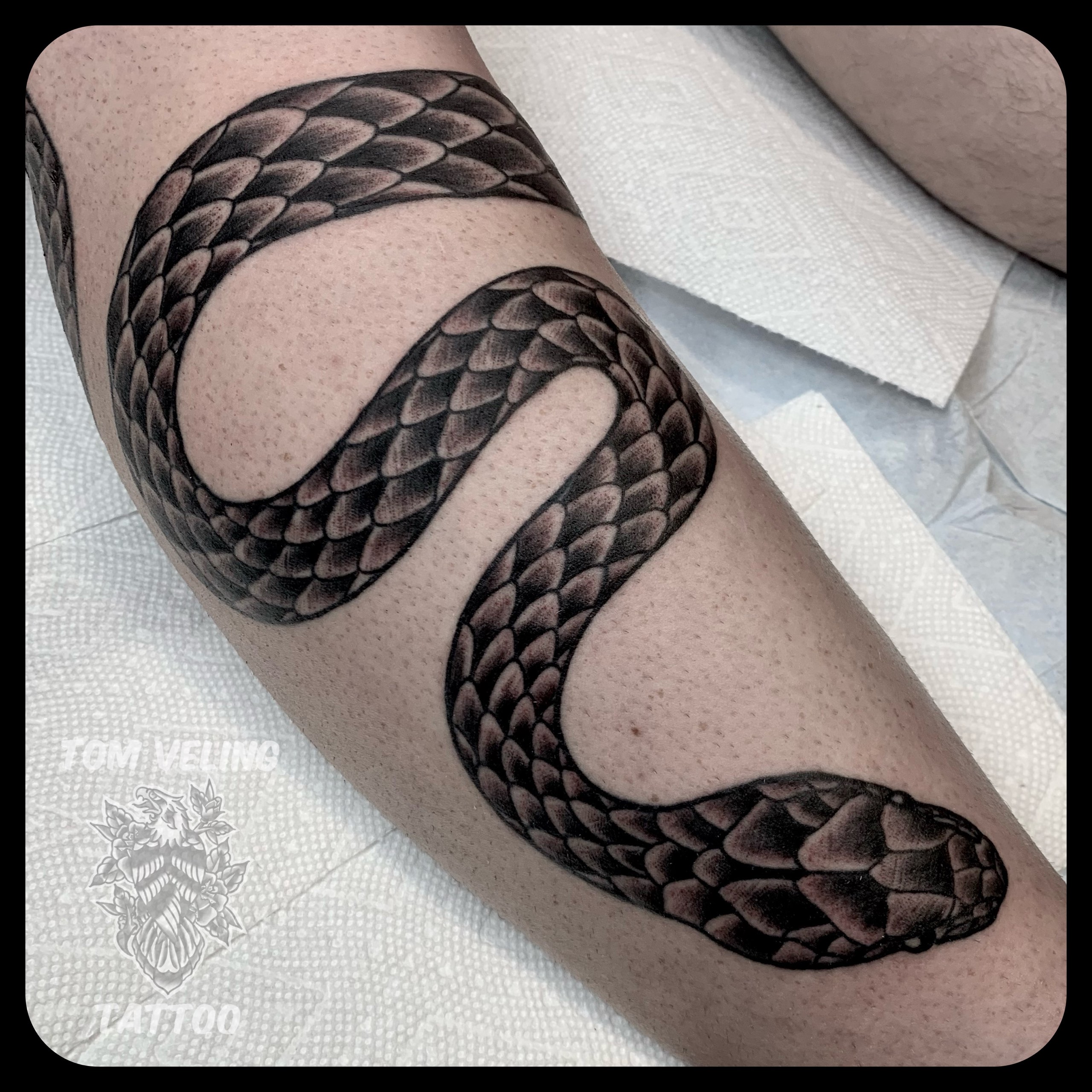 Small World Tattoo - Professional Tattooing in Orwigsburg, PA