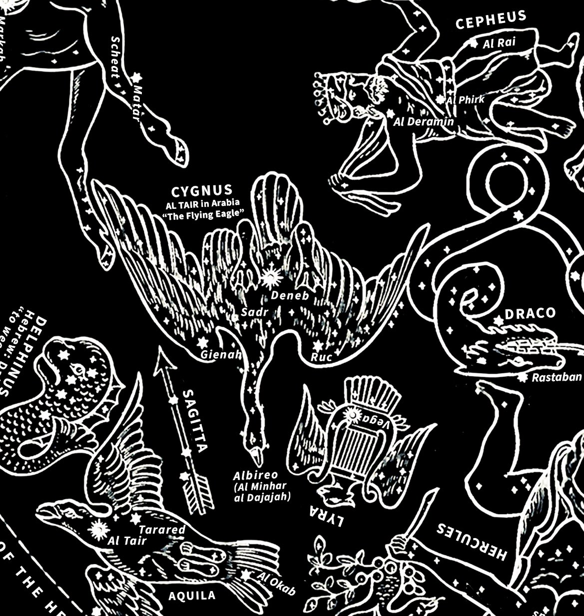 Store - Signs of the Hebrew Mazzaroth