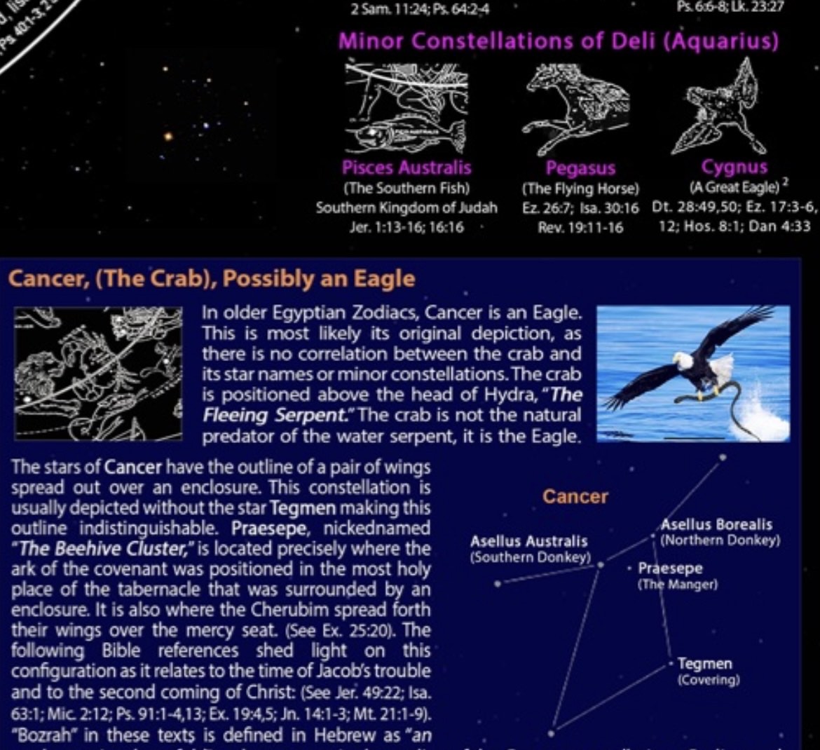 Store - Signs of the Hebrew Mazzaroth