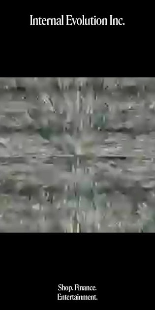 Internal Evolution Inc