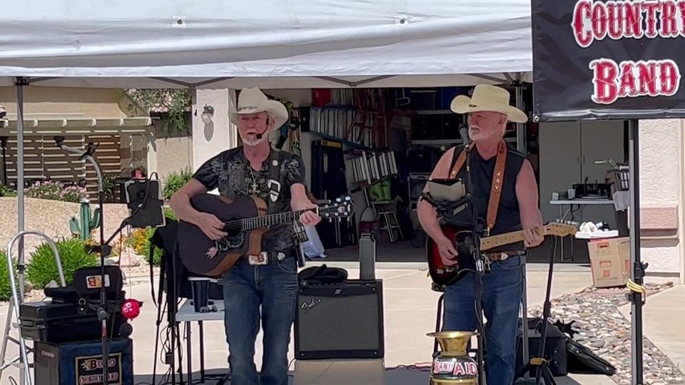 BRANDED COUNTRY / Lee Benson