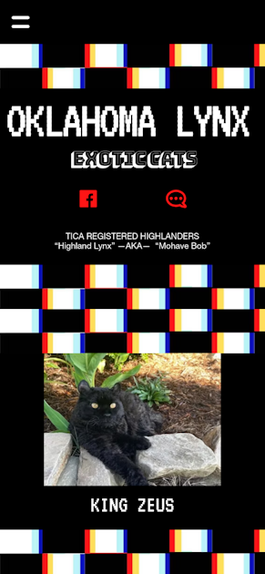 Home [okclynx.com]